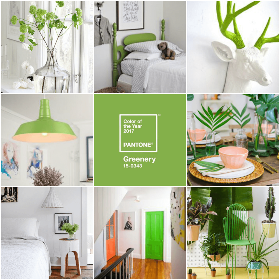 PANTONE reveals the colour of the year for 2017 - GREENERY