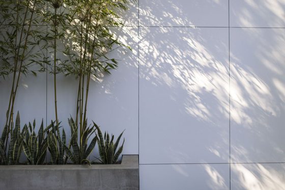 Stunning Sunday: Curved concrete and cedar cladding masterpiece