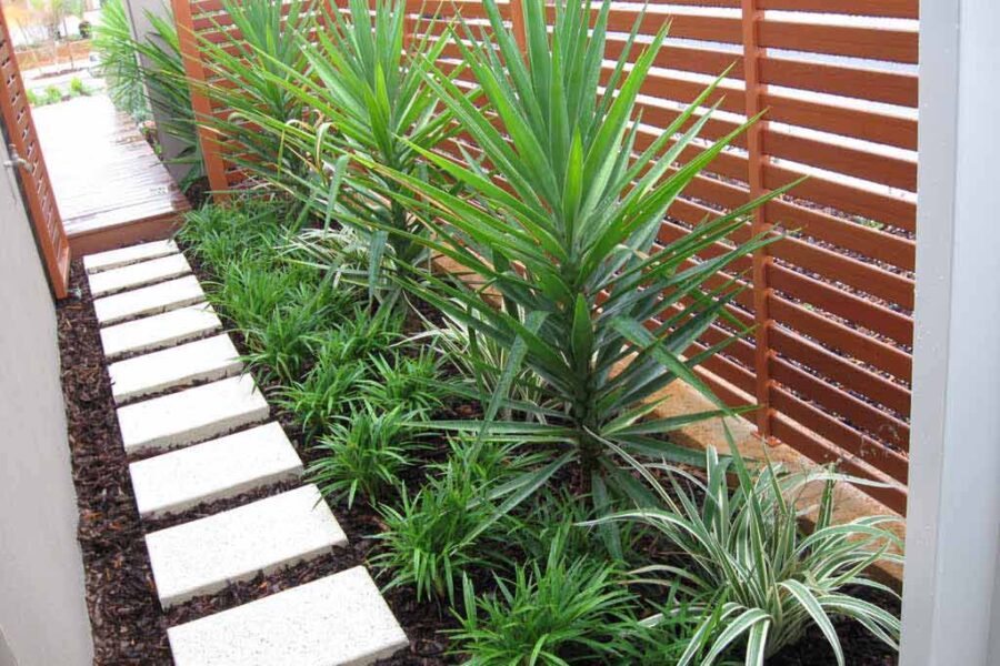 Tips for your side yard makeover