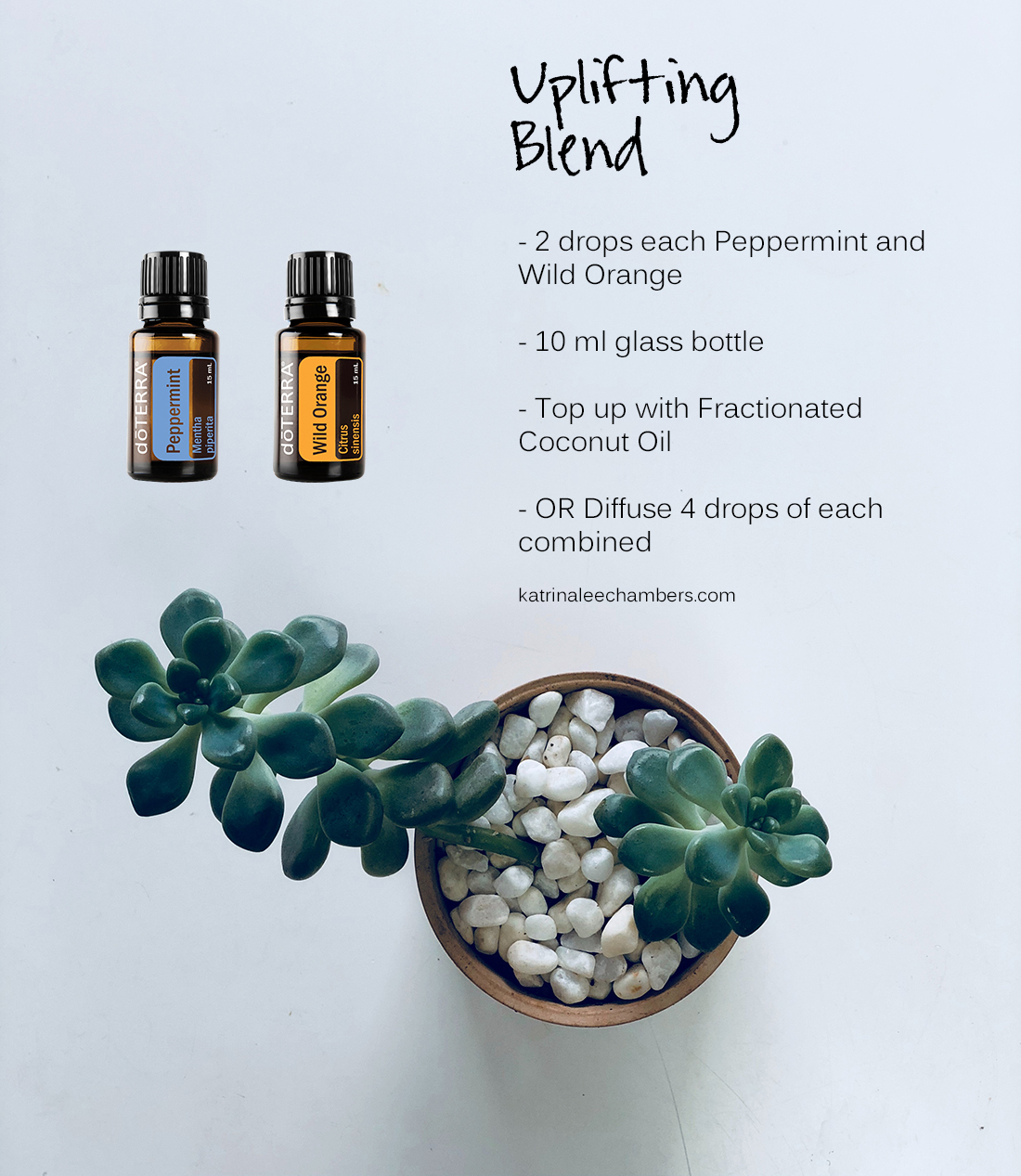 Essential Oil Blends to support your overall health + how to get freebies