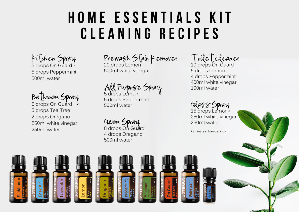 Home Essentials Kit Cleaning Recipes
