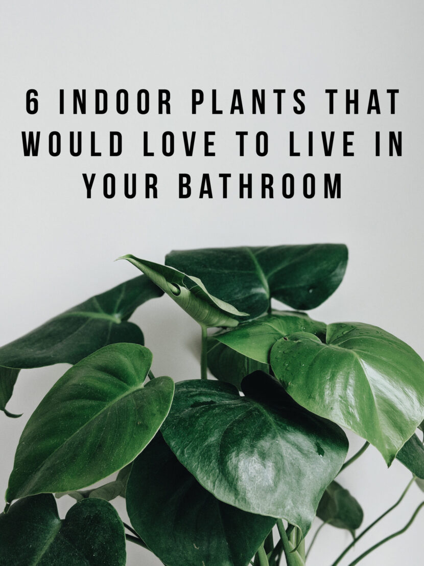 How to pot an artificial plant