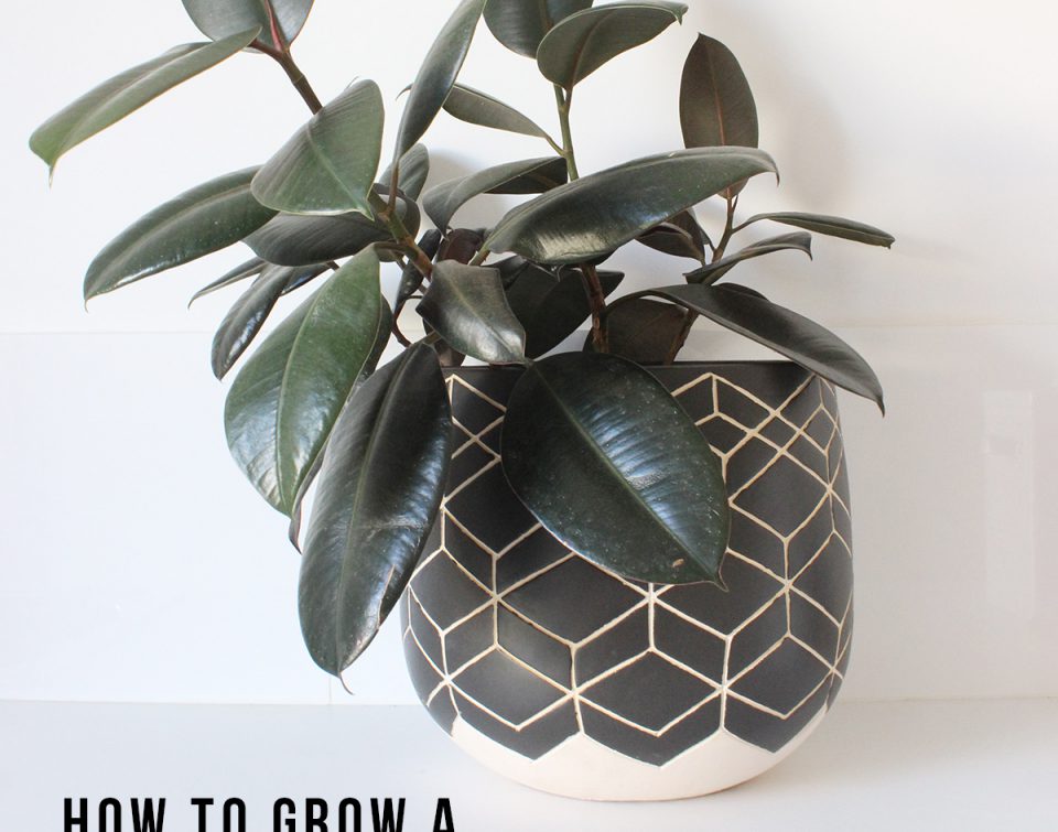 DIY Supersize Canvas Artwork