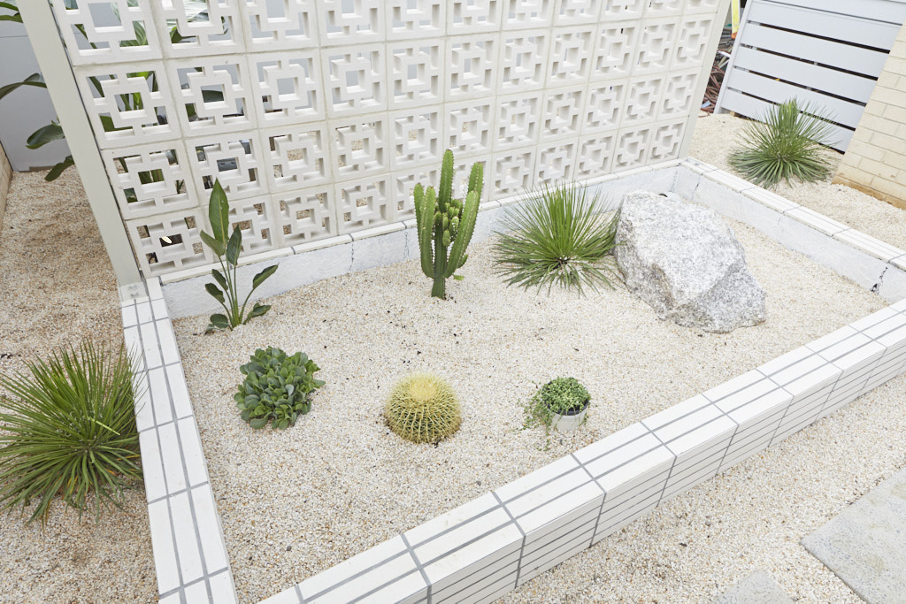 The Block 2020: Front Garden Reveals